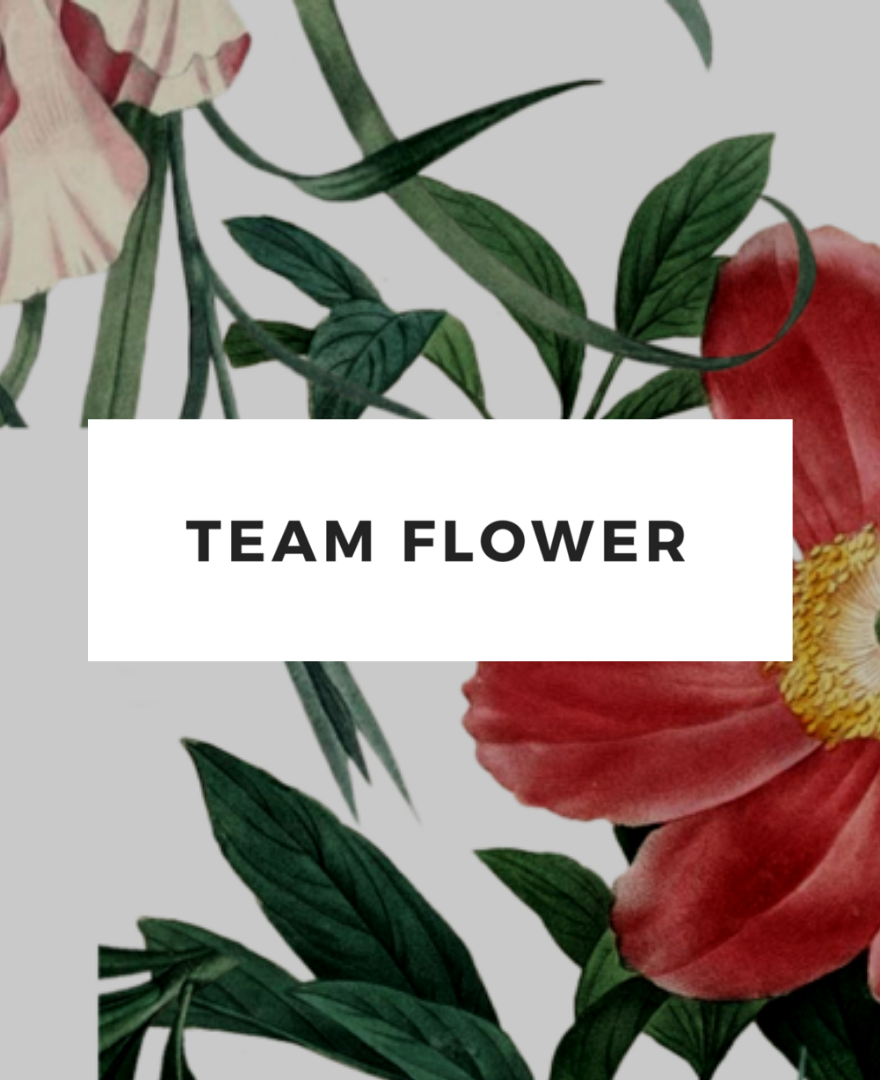 Press | Details Flowers Software